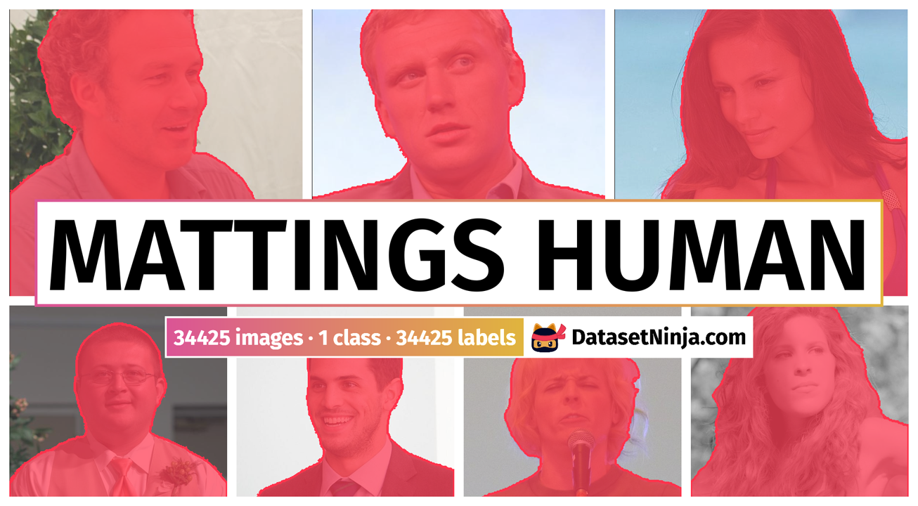 Mattings Human - Dataset Ninja