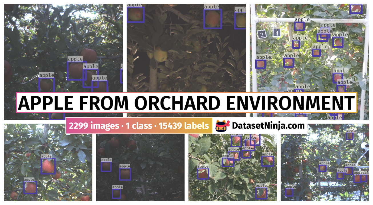 Apple from Orchard Environment - Dataset Ninja Apple from Orchard Environment - Dataset Ninja