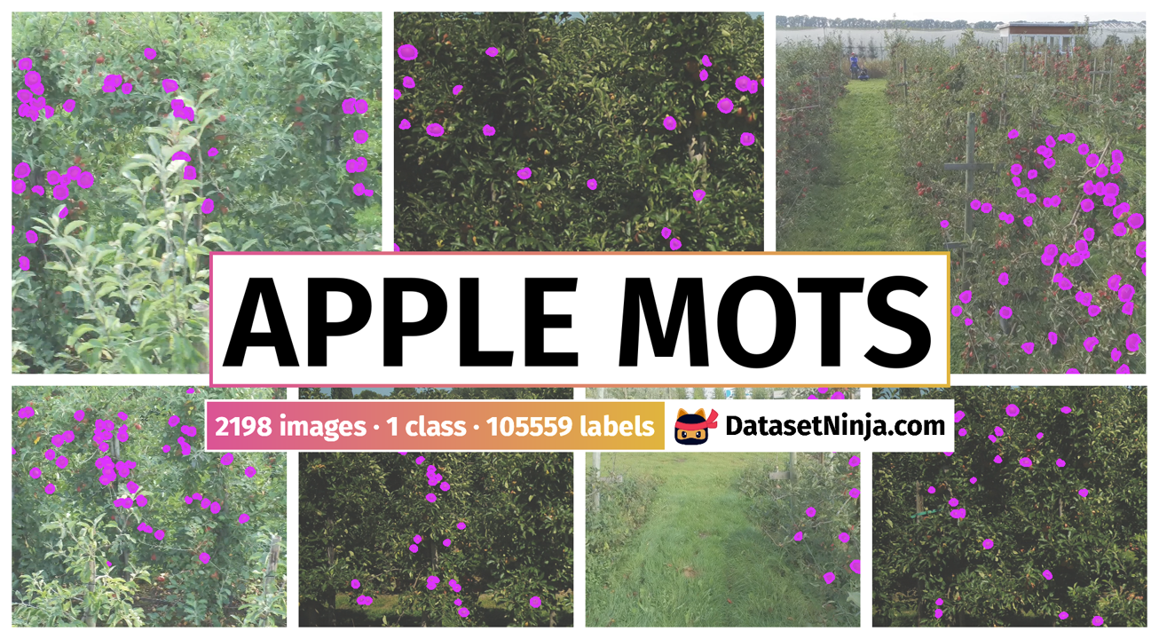 Apple MOTS - Dataset Ninja Apple MOTS - Dataset Ninja