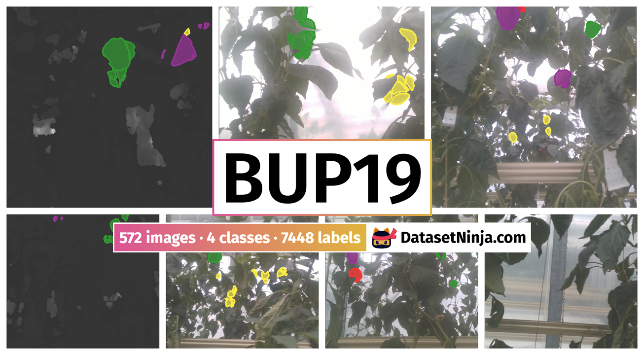 BUP19 - Dataset Ninja
