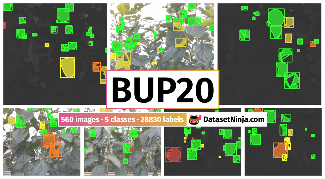 BUP20 - Dataset Ninja