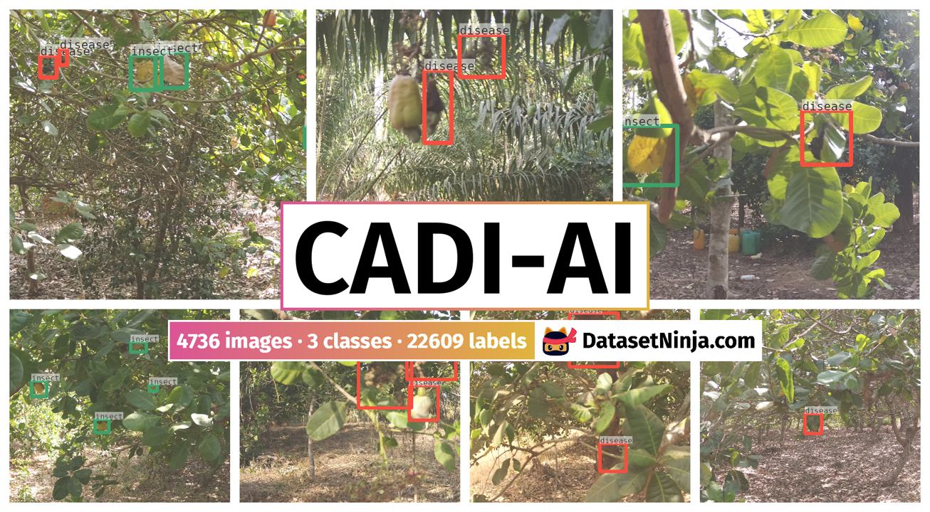 CADI-AI - Dataset Ninja