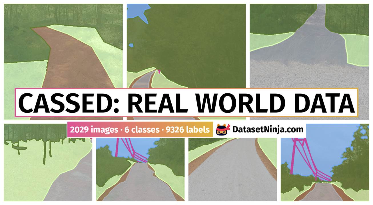 CaSSeD: Real World Data - Dataset Ninja