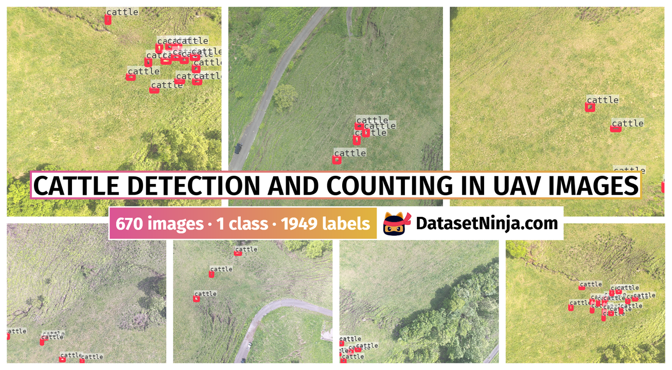 Cattle Detection And Counting In Uav Images Dataset Ninja 6809