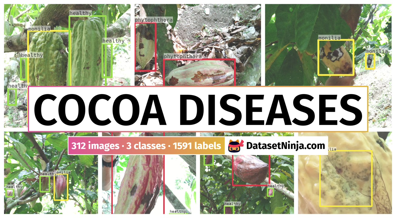 Cocoa Diseases Dataset Ninja