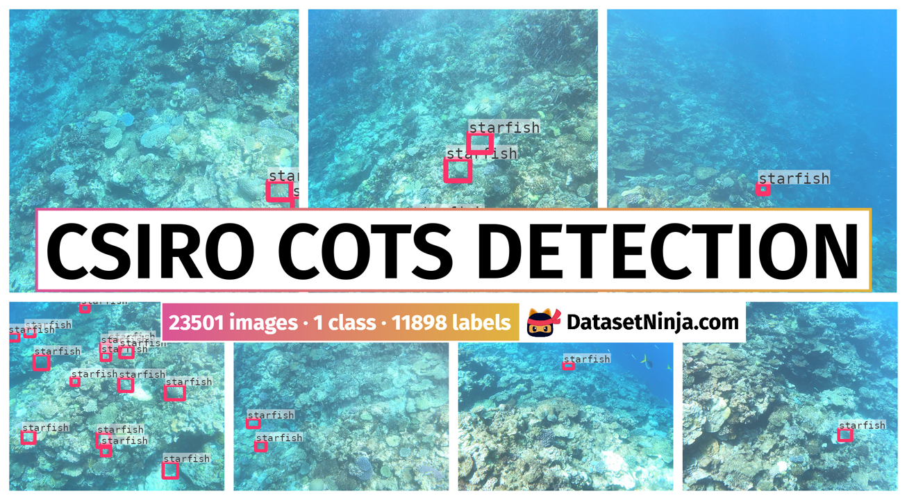CSIRO COTS Detection - Dataset Ninja