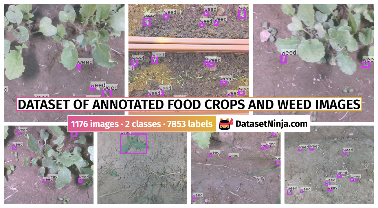 Dataset of Annotated Food Crops and Weed Images - Dataset Ninja