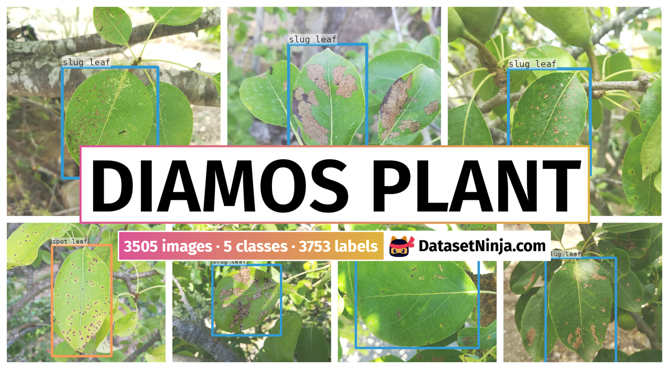 DiaMOS Plant - Dataset Ninja