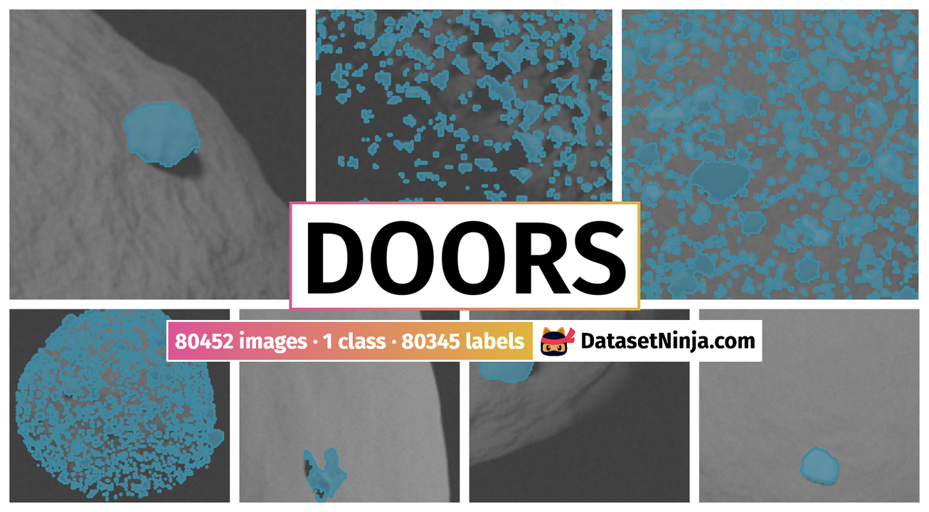 Doors Dataset Ninja