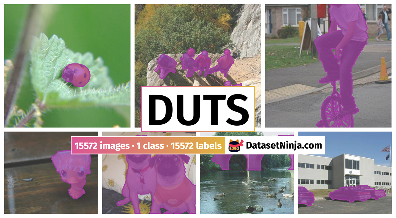 DUTS - Dataset Ninja