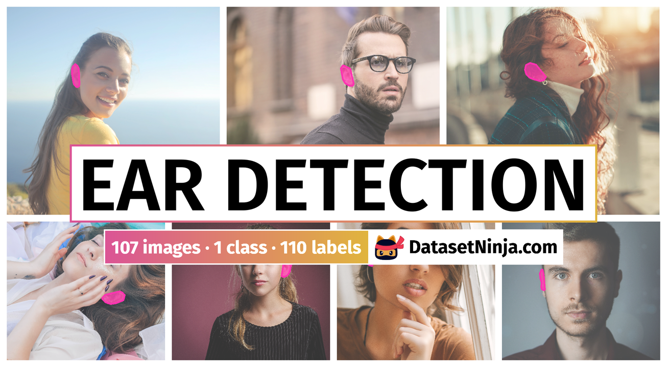 Ear Detection Dataset Ninja