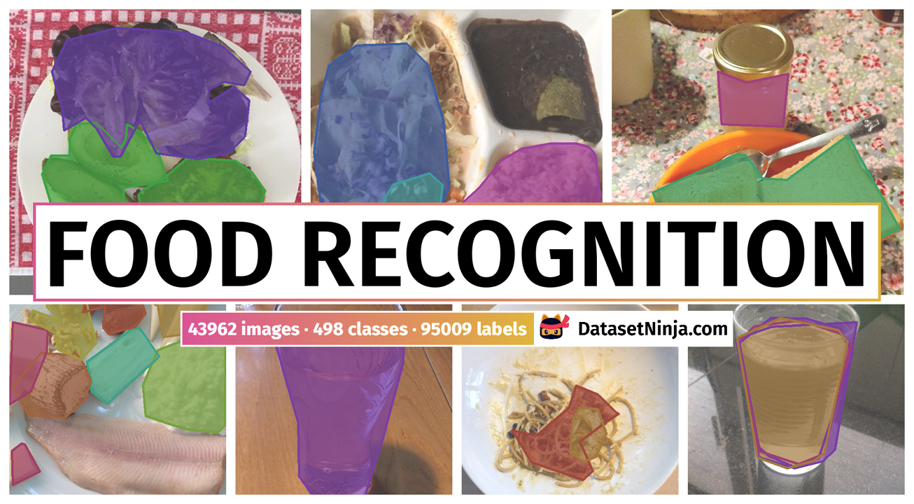 Food Recognition 2022 Dataset Ninja