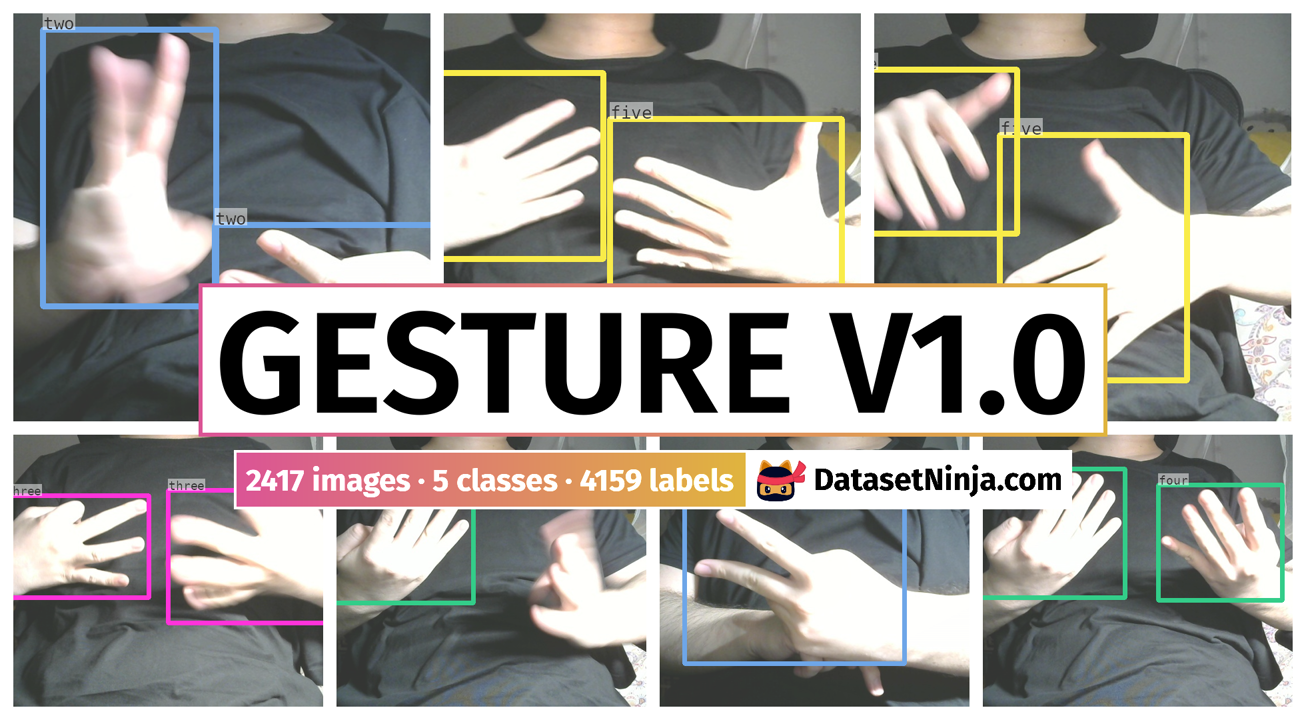 Gesture v1.0 - Dataset Ninja