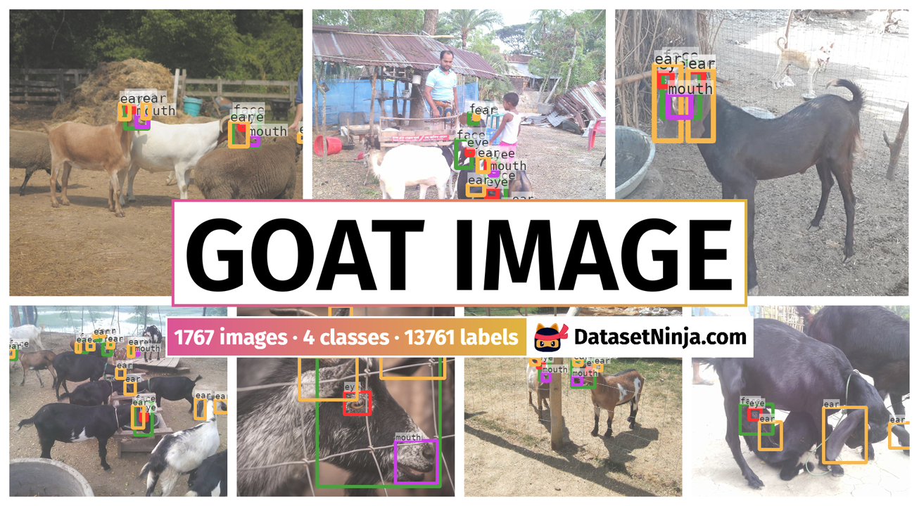 Goat Image - Dataset Ninja