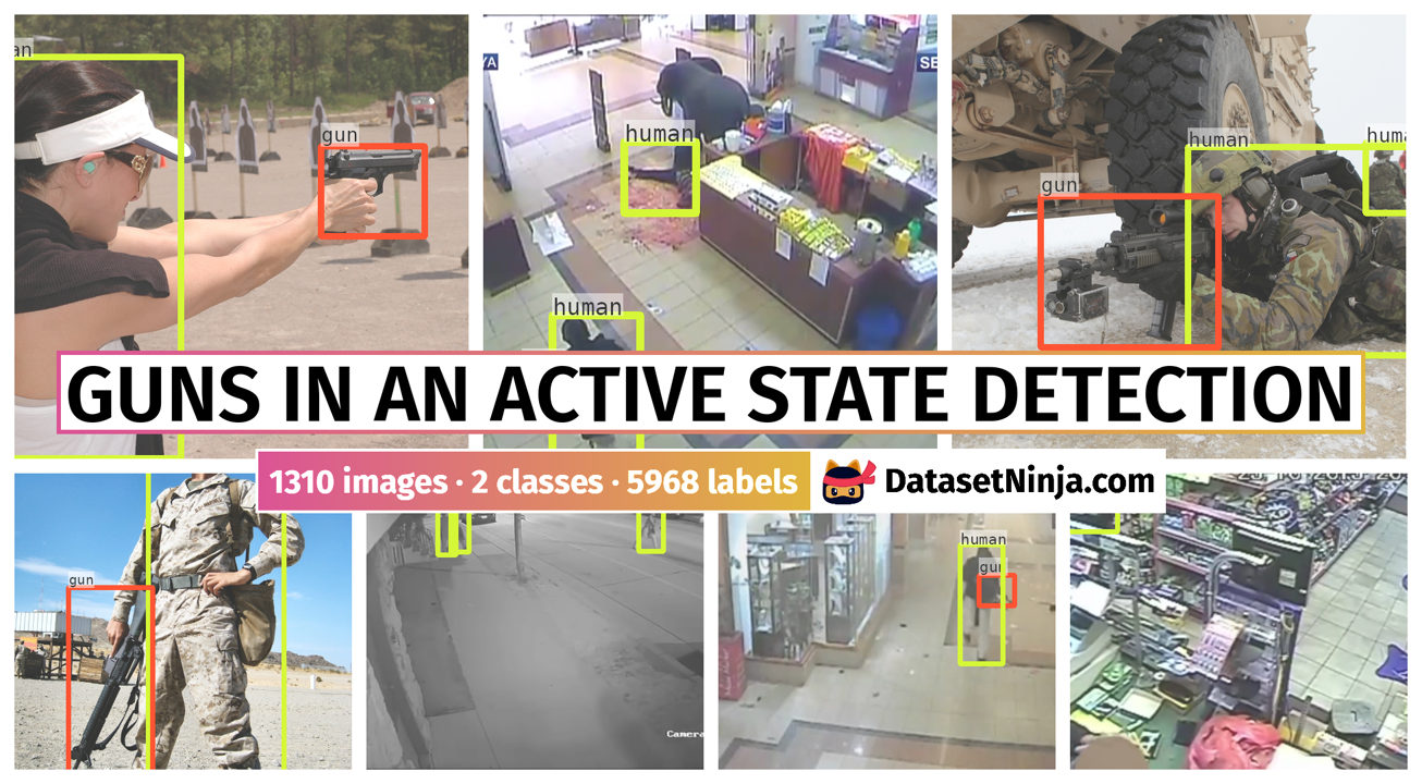 Guns In An Active State Detection Dataset Ninja