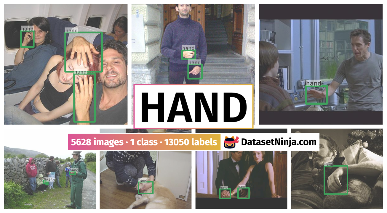 Hand Dataset Ninja