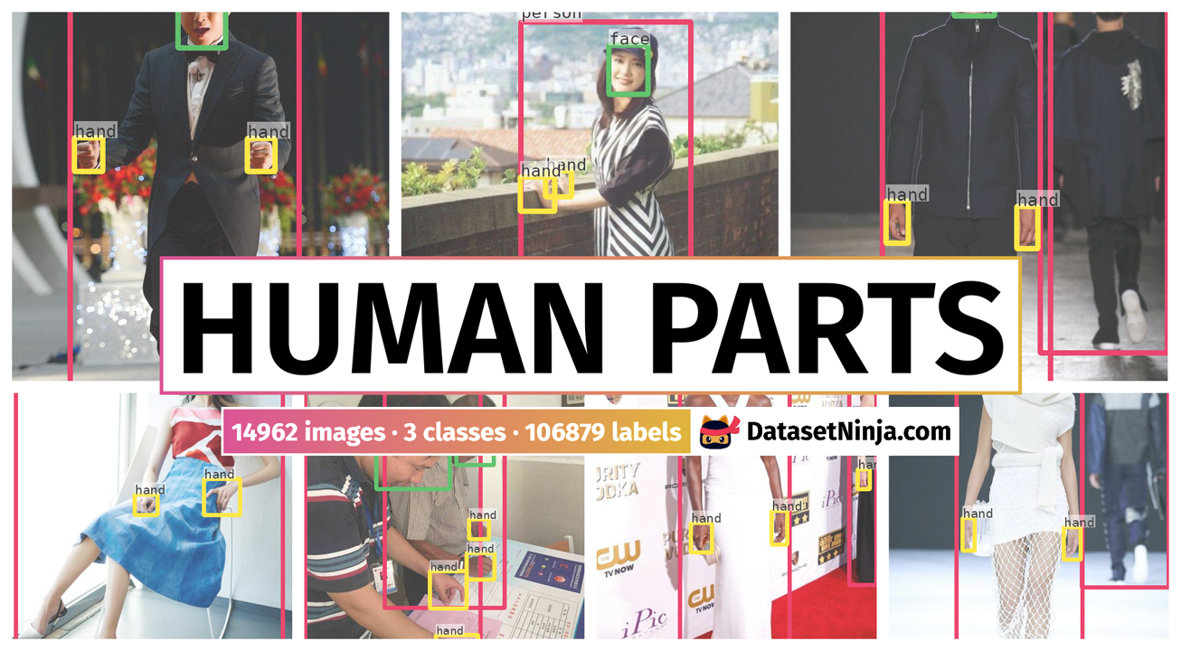 Human Parts - Dataset Ninja