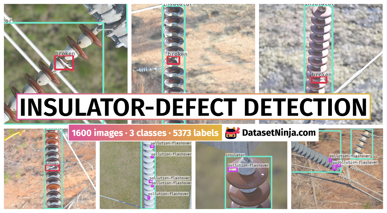 Insulator Defect Detection Dataset Ninja