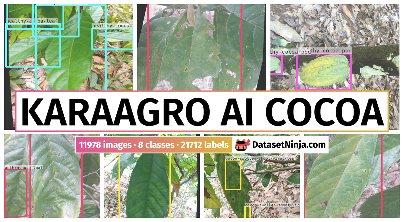 Karaagro Ai Cocoa Dataset Ninja