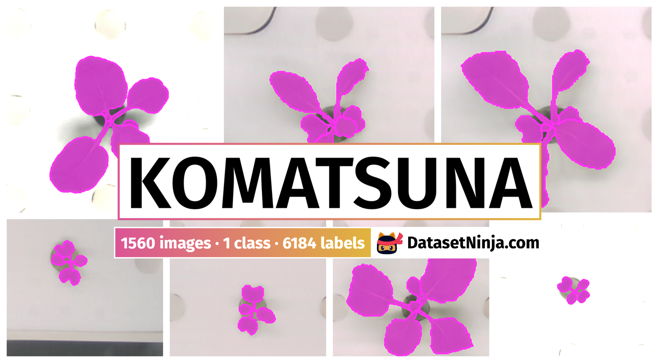 KOMATSUNA - Dataset Ninja