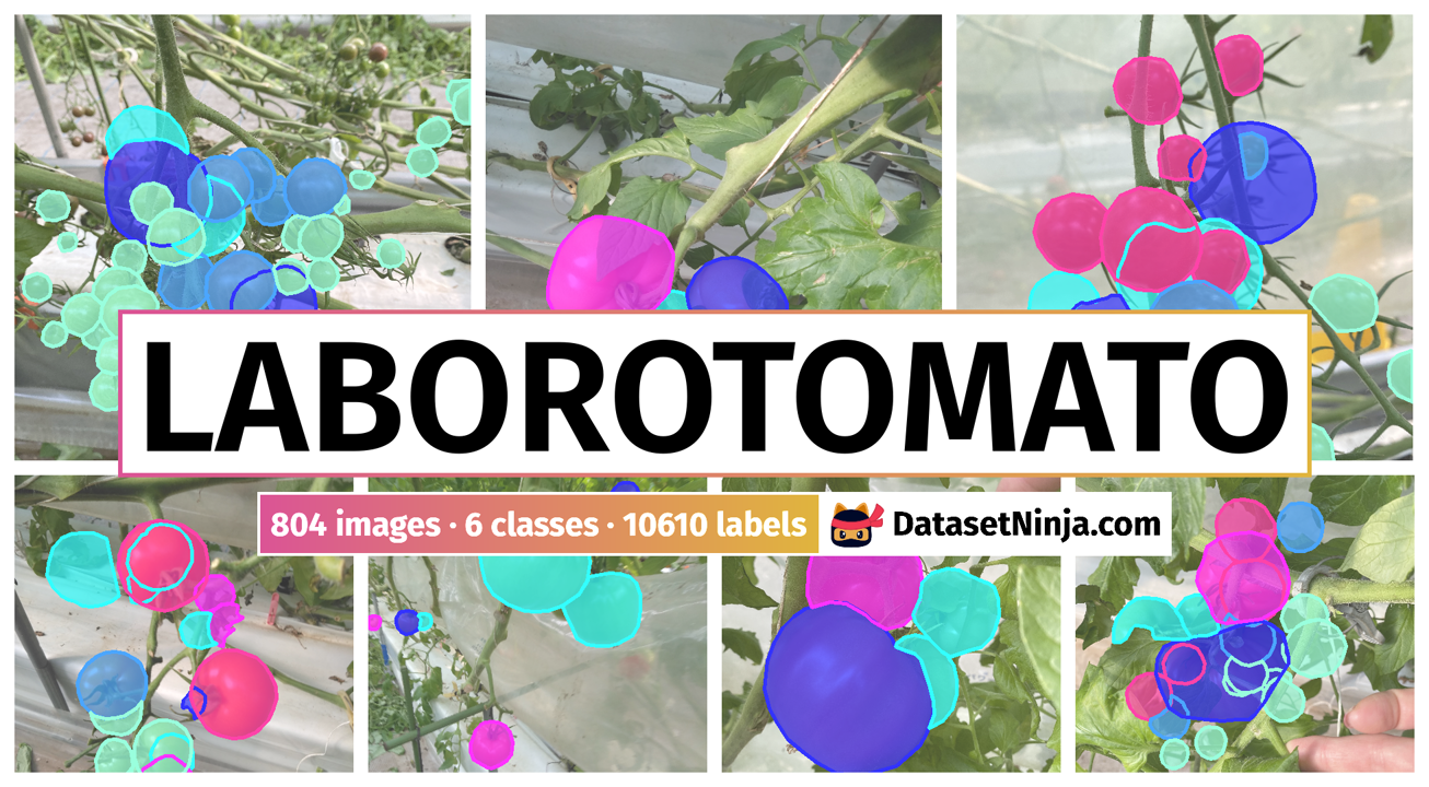 LaboroTomato - Dataset Ninja