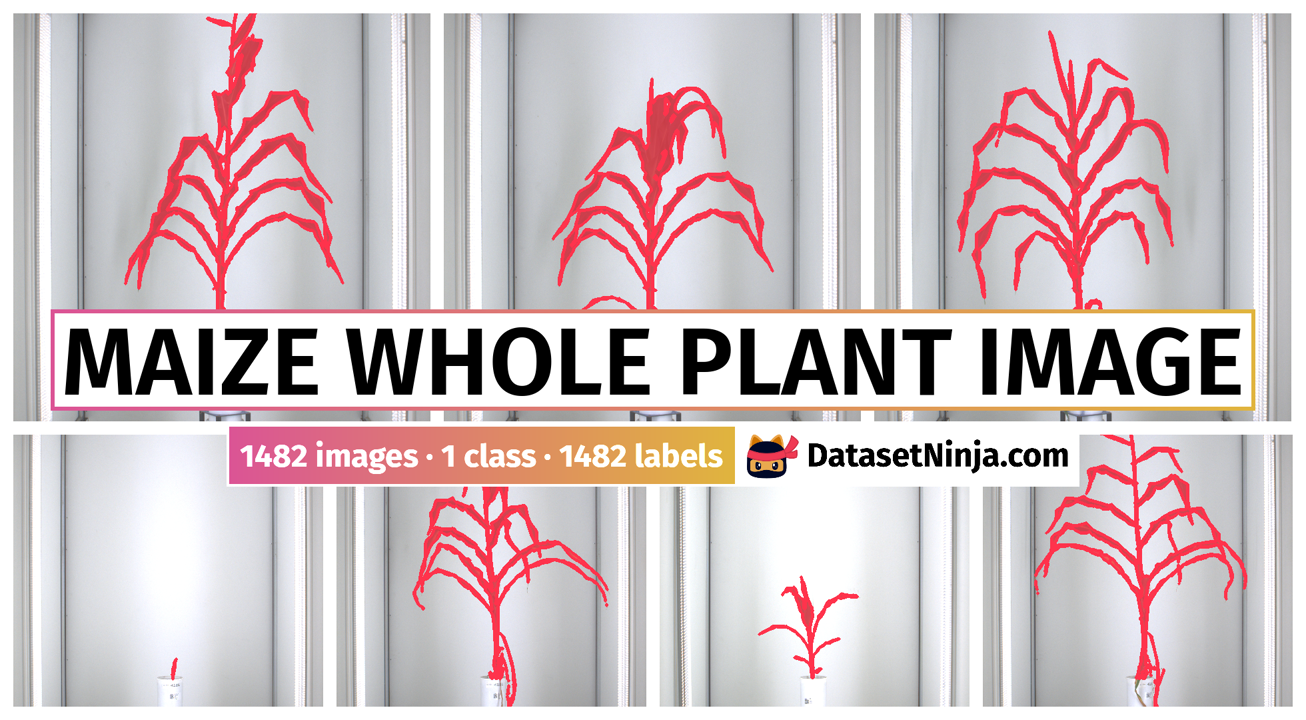 Maize Whole Plant Image Dataset Ninja