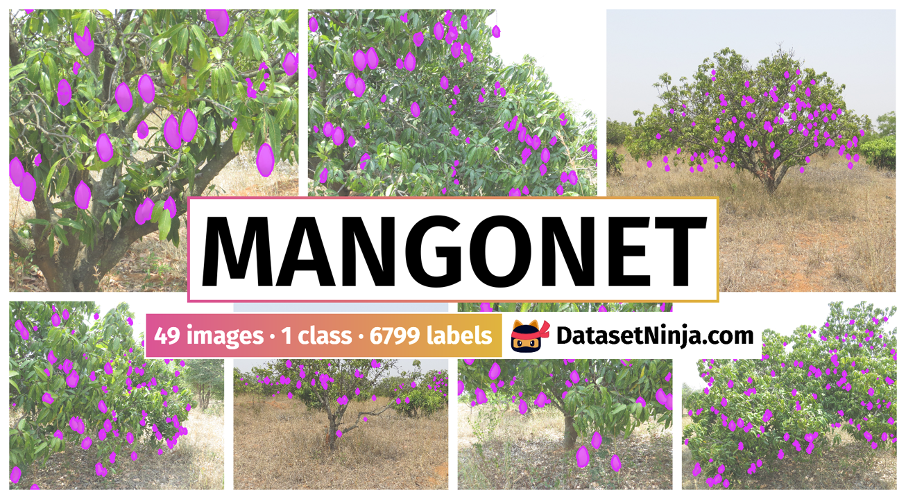 MangoNet - Dataset Ninja