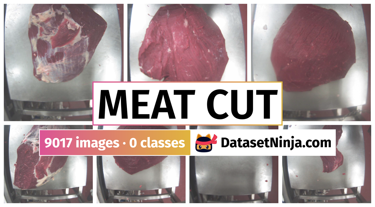Meat Cut - Dataset Ninja