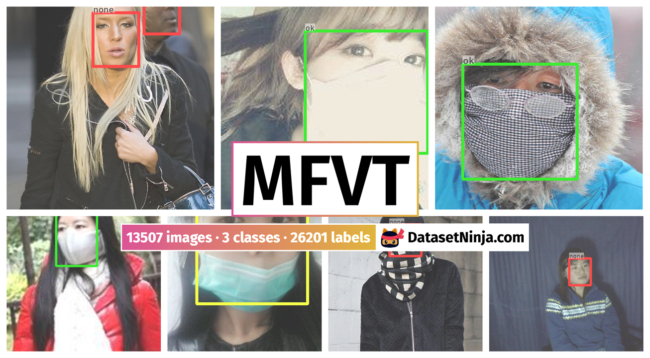 MFVT - Dataset Ninja