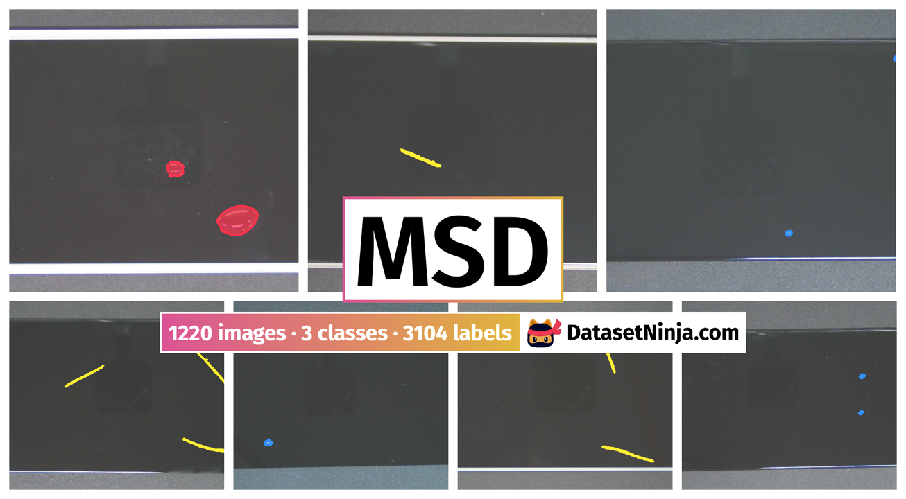 Msd Dataset Ninja