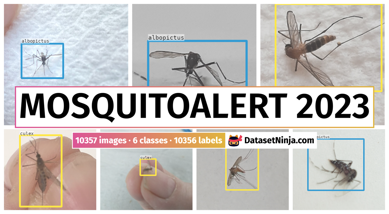 MosquitoAlert 2023 - Dataset Ninja