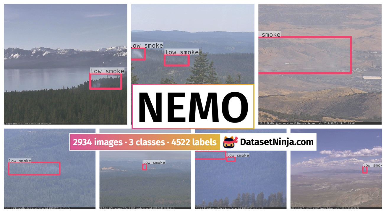 NEMO - Dataset Ninja