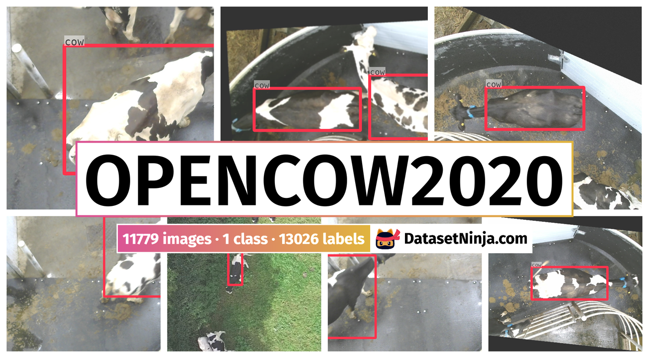 OpenCow2020 - Dataset Ninja