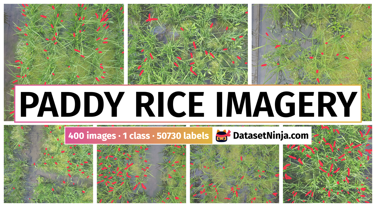 Paddy Rice Imagery - Dataset Ninja