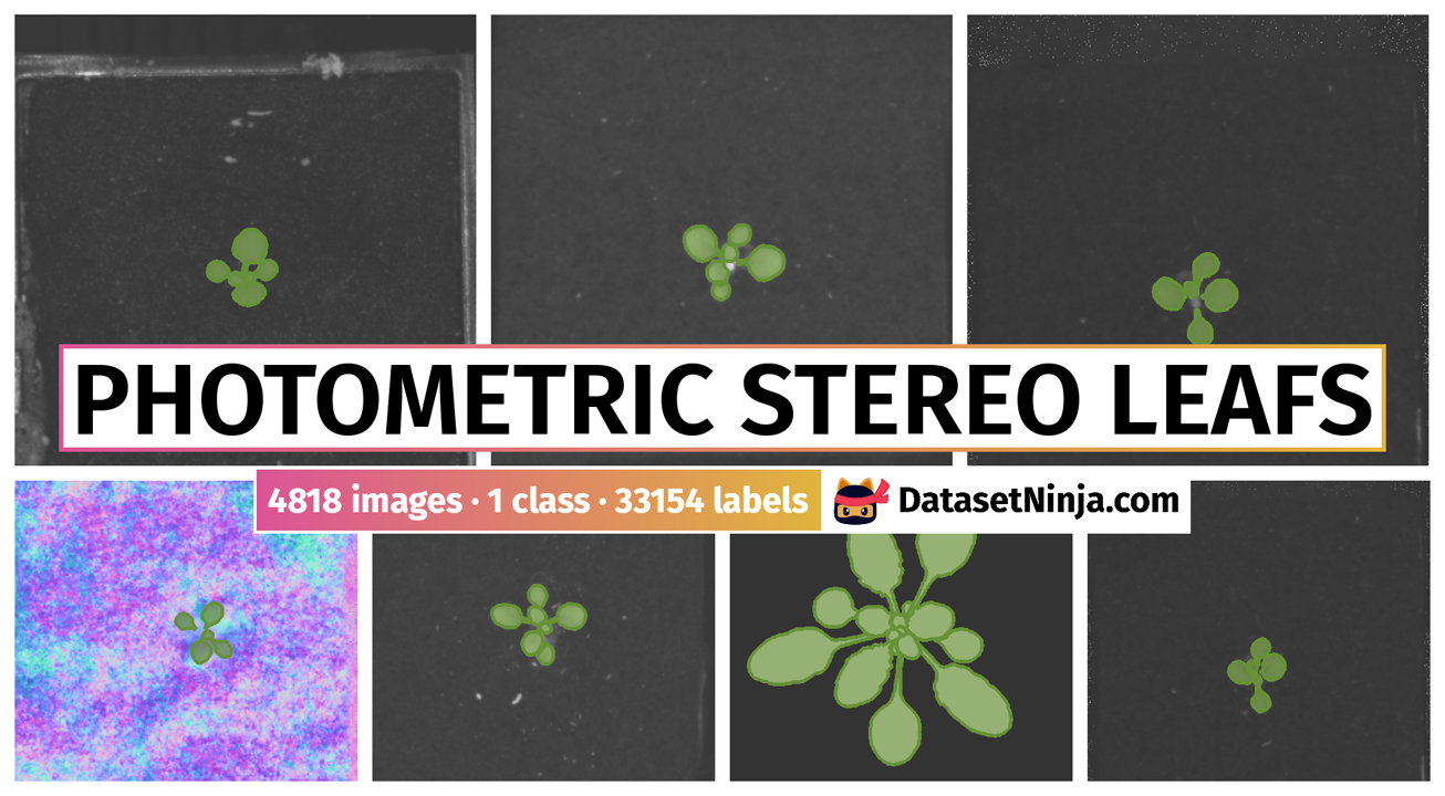 Photometric Stereo Leafs - Dataset Ninja