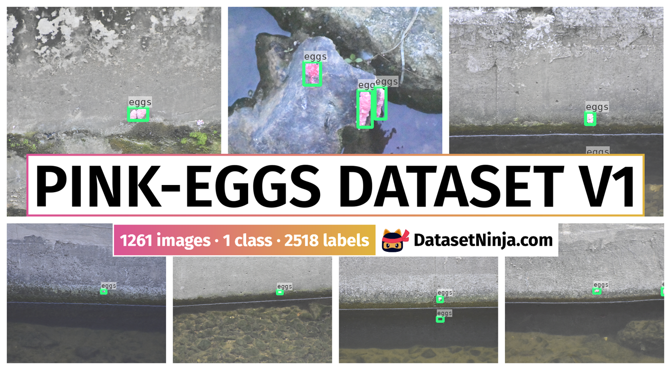 Pink-Eggs Dataset V1 - Dataset Ninja