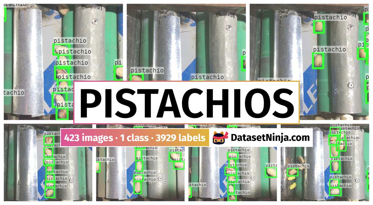 Pesteh Dataset Ninja