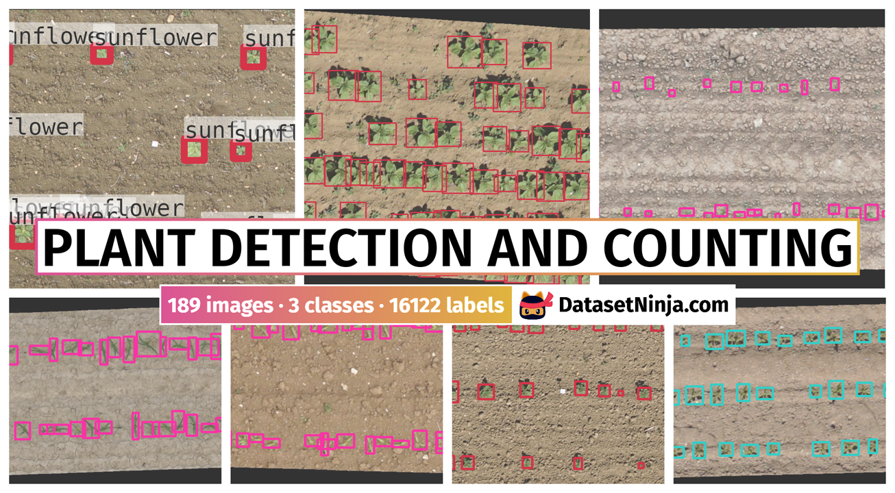 Plant Detection And Counting Dataset Ninja