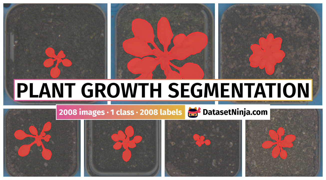 Plant Growth Segmentation - Dataset Ninja