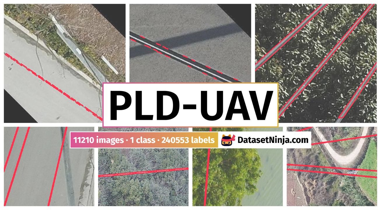 PLD-UAV - Dataset Ninja