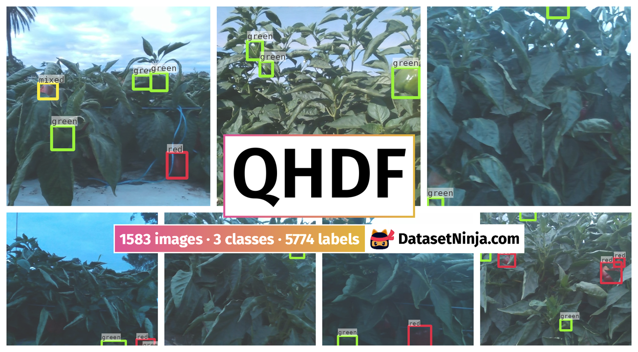 QHDF - Dataset Ninja
