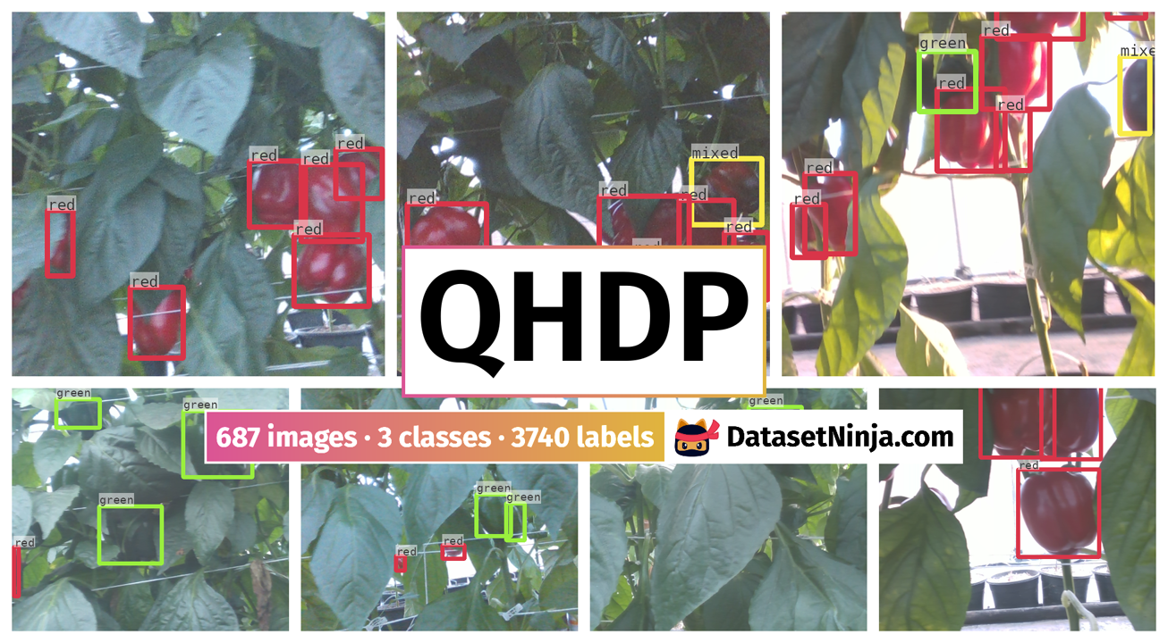 QHDP - Dataset Ninja