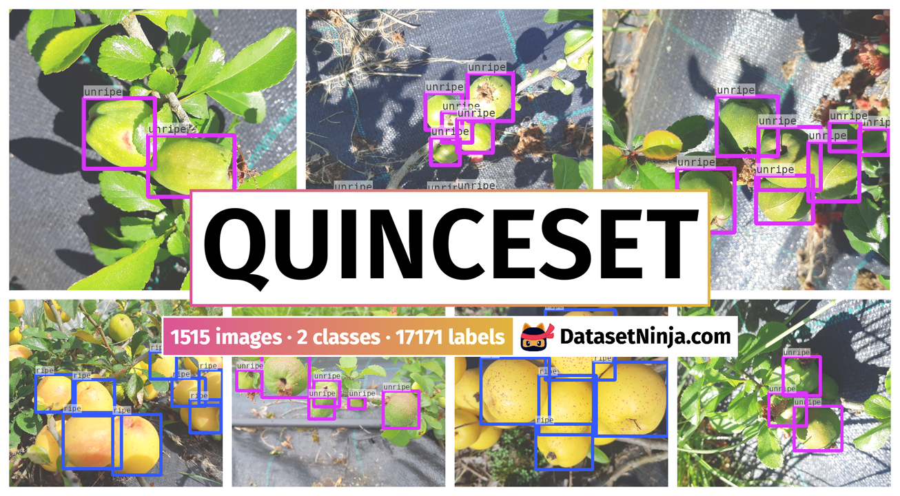 QuinceSet - Dataset Ninja