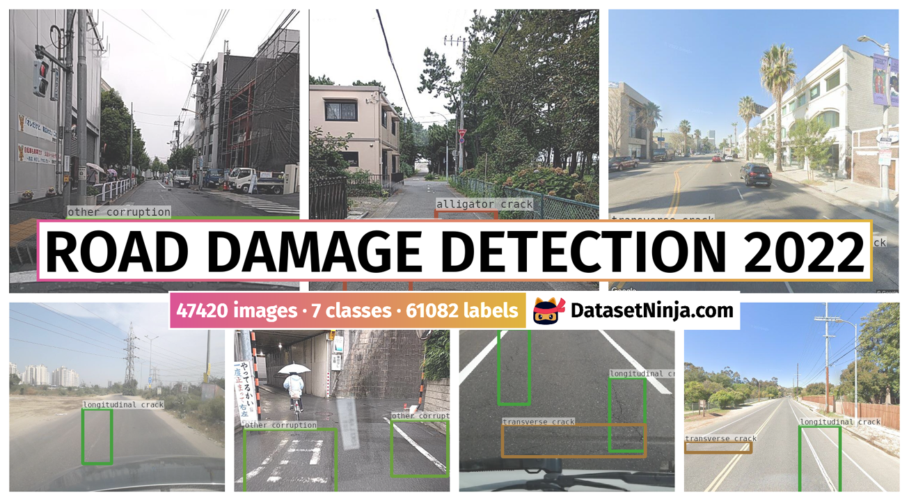 RDD2022 - Dataset Ninja