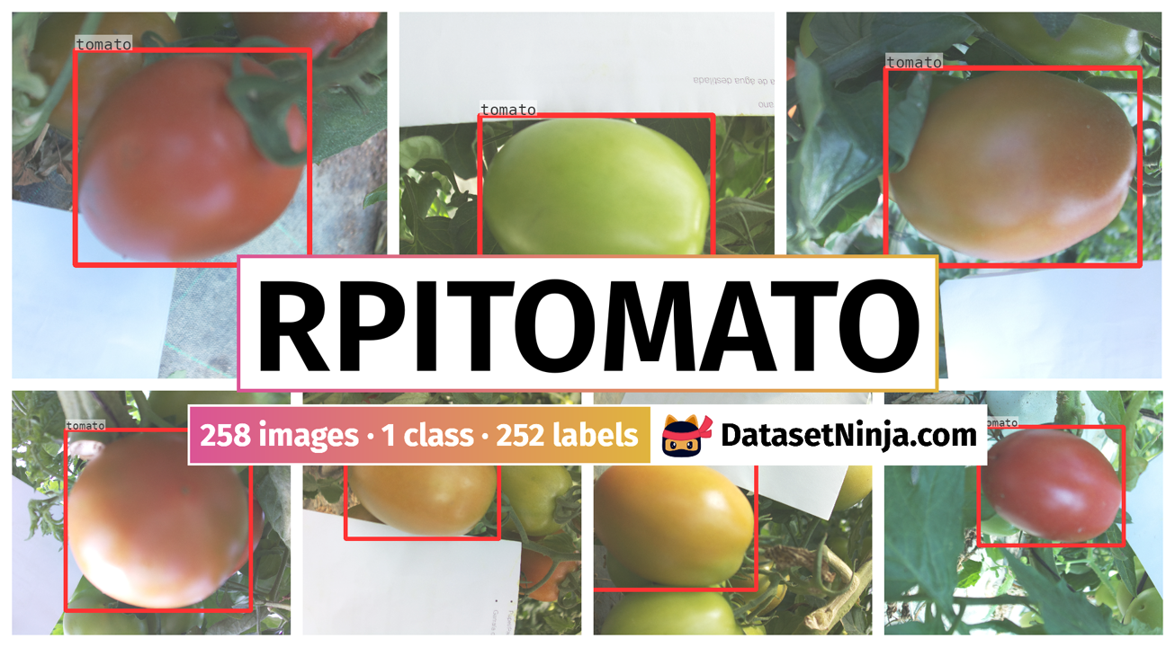 RpiTomato Dataset - Dataset Ninja