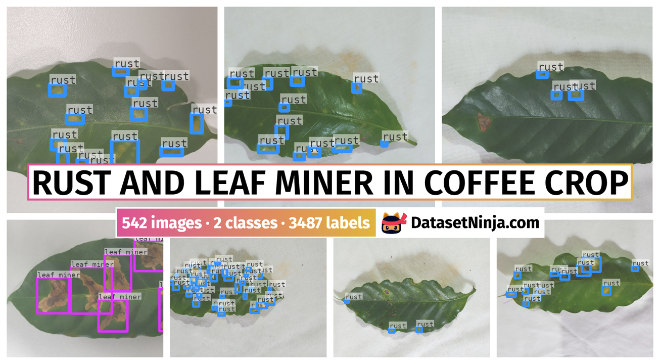Rust and Leaf Miner in Coffee Crop - Dataset Ninja