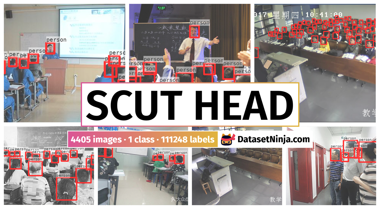 Scut Head - Dataset Ninja