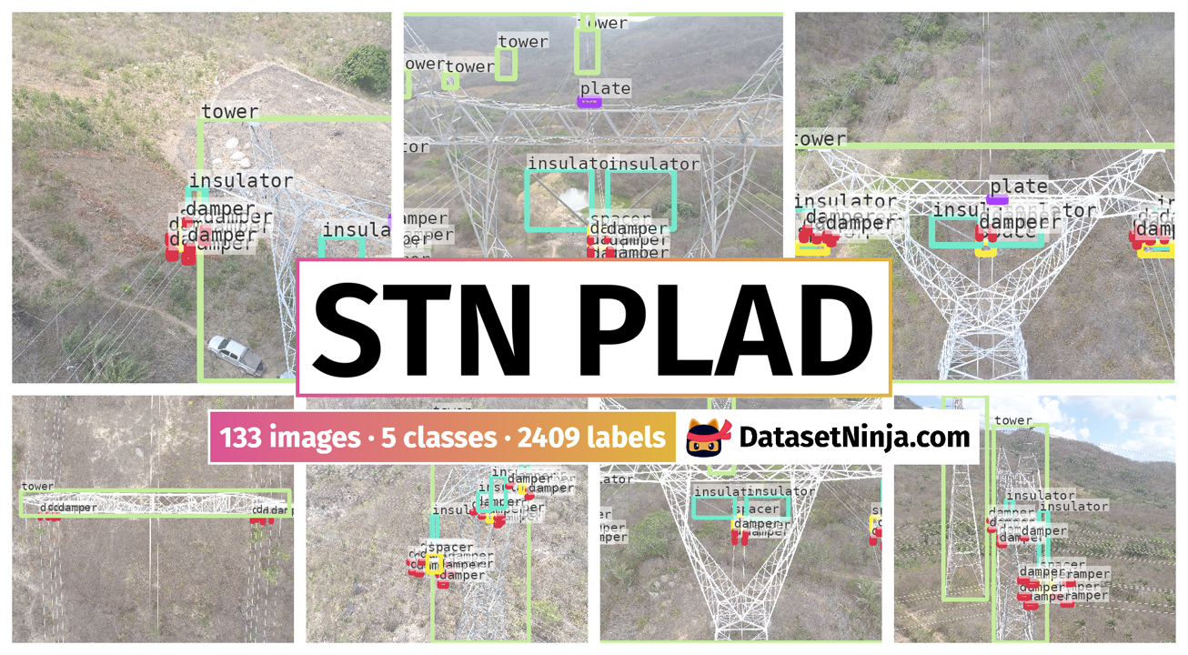 STN PLAD - Dataset Ninja