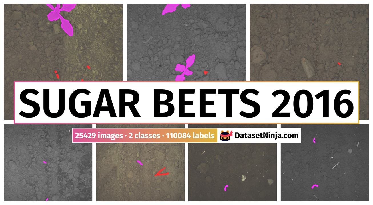 Sugar Beets 2016 - Dataset Ninja