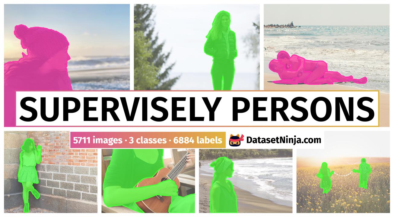 Supervisely Persons - Dataset Ninja